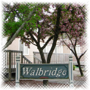 Walbridge School: Home